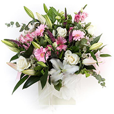 Ronaldos Flowers Florist Drogheda Co Louth 00353 8612 41213